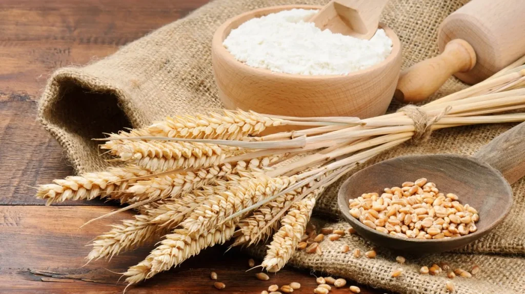 Agri-Commodities - Strand Commodities