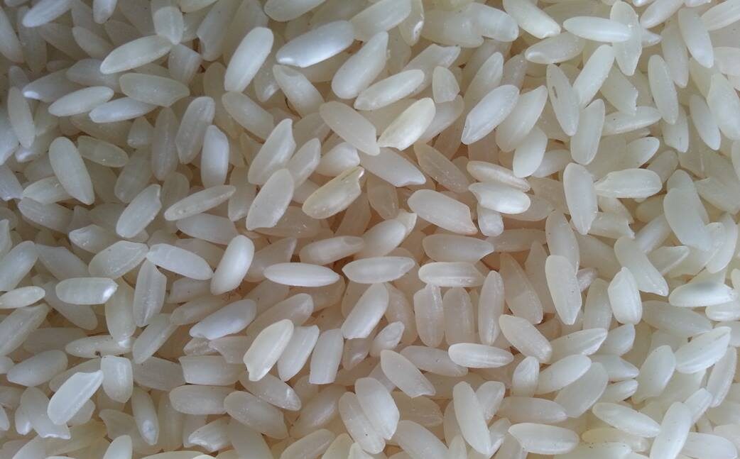 Cereals - Strand Commodities